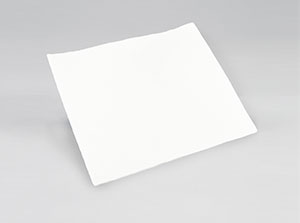 Replacement Felt Filter - HOST